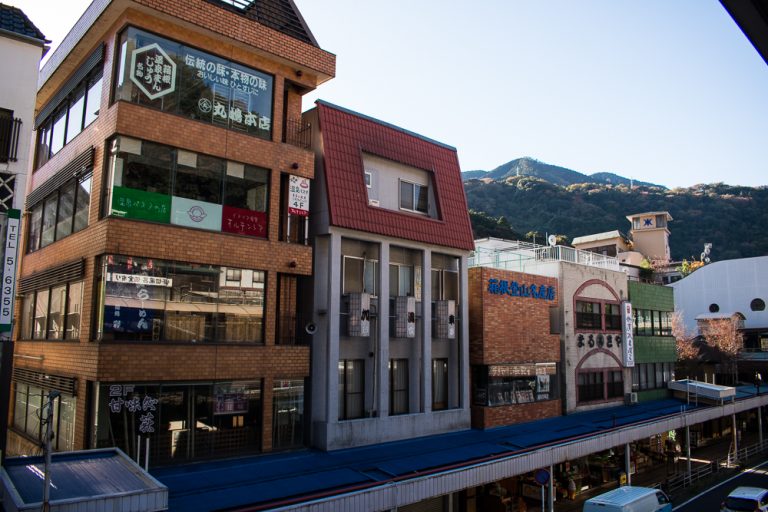 Hakone Day Trip - Round Course (Japan) - Ordinary Reviews