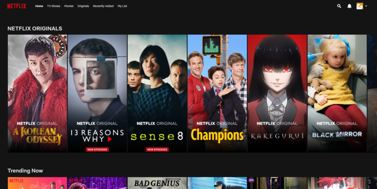 Netflicks Review - Wait, Did You Mean Netflix? - Ordinary Reviews