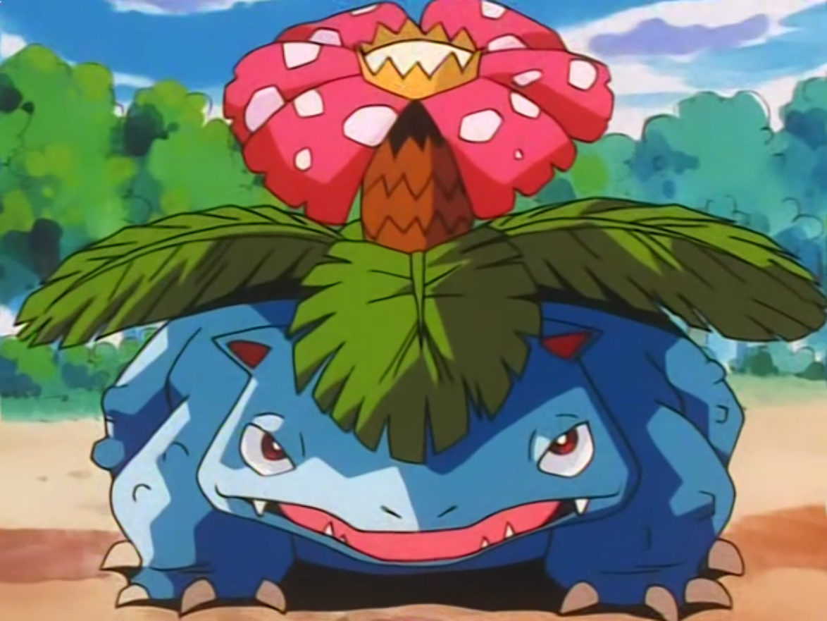 Best Leaf Type Pokemon - Top Ten Picks [Updated Today] - Ordinary Reviews