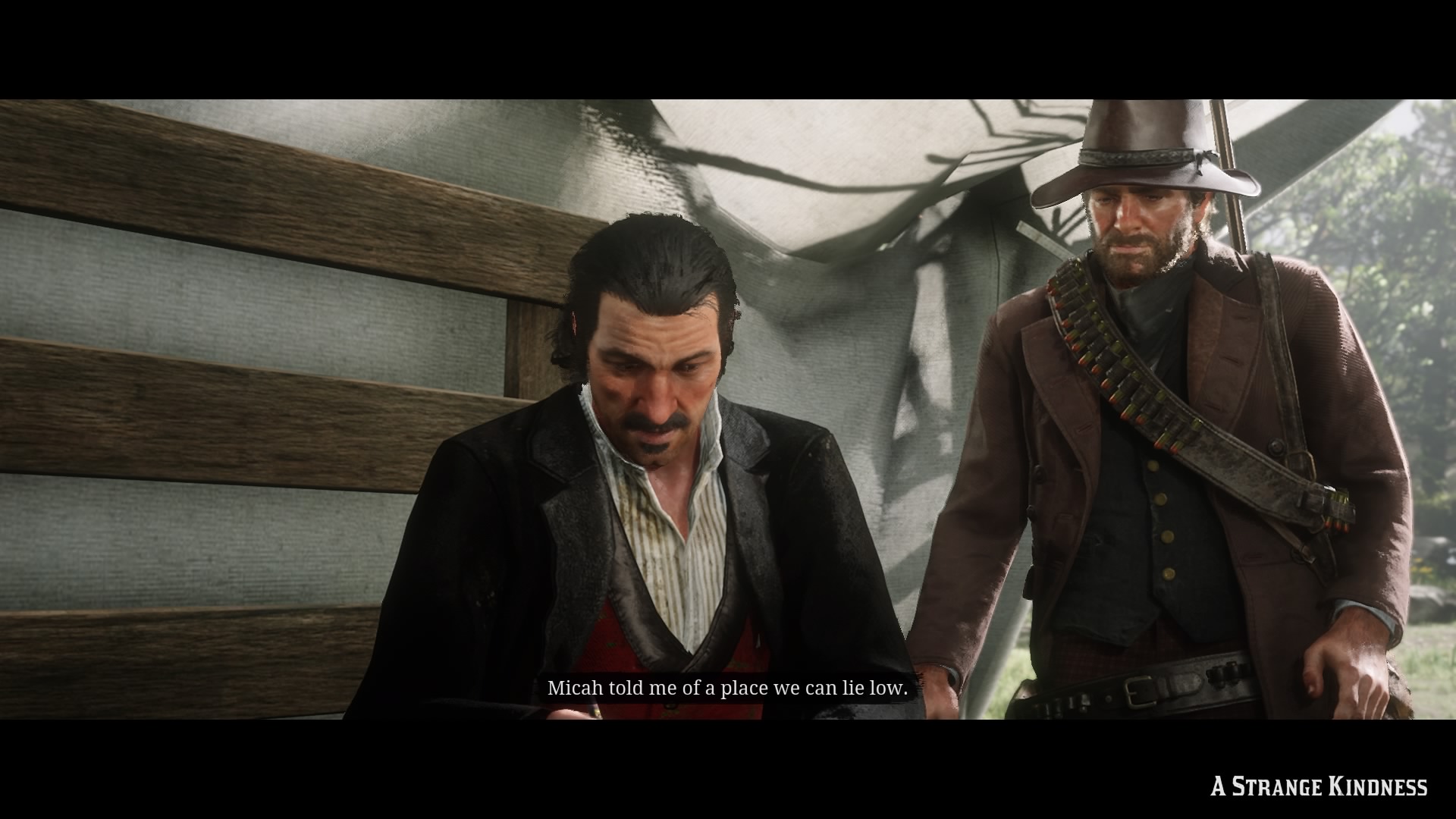 Red Dead Redemption 2: A Strange Kindness (Walkthrough)