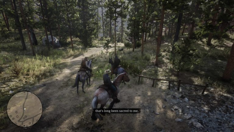 Red Dead Redemption 2: Archeology For Beginners (Walkthrough)