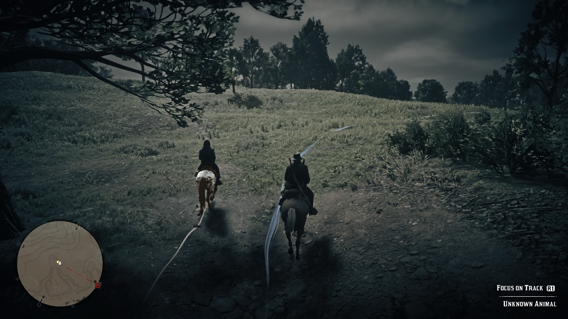 Red Dead Redemption 2: A Strange Kindness (Walkthrough)