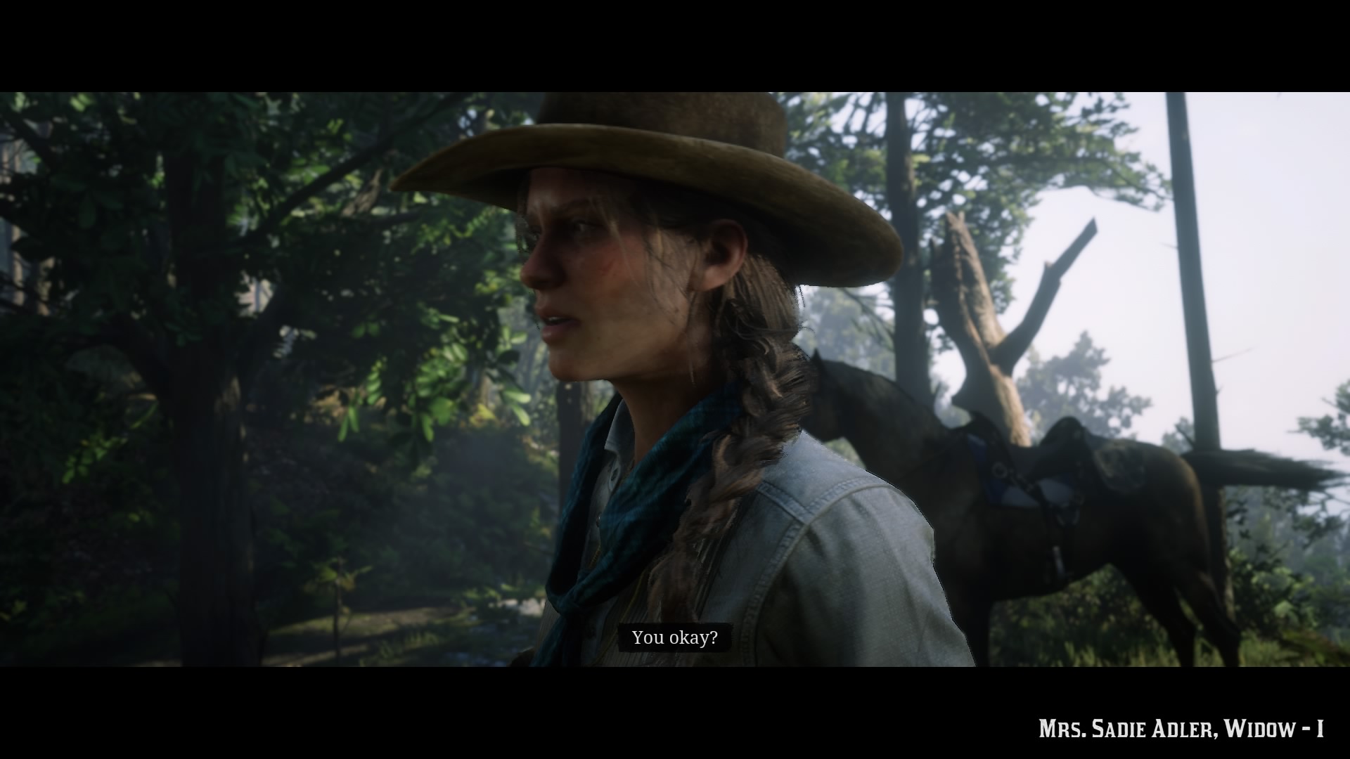 Red Dead Redemption 2: Mrs. Sadie Adler, Widow (Walkthrough)