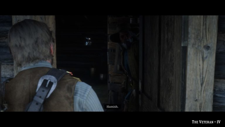 Red Dead Redemption 2: The Veteran (Part 4) Walkthrough