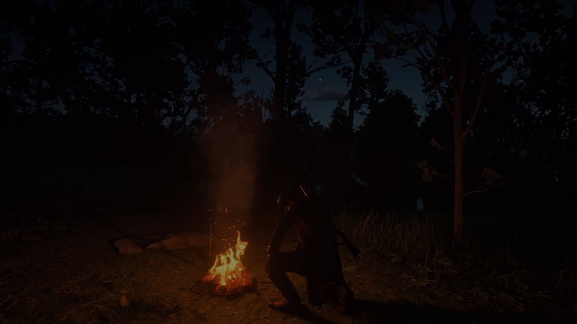 Red Dead Redemption 2: Where To Find The Ghost (Agnes Dowd)