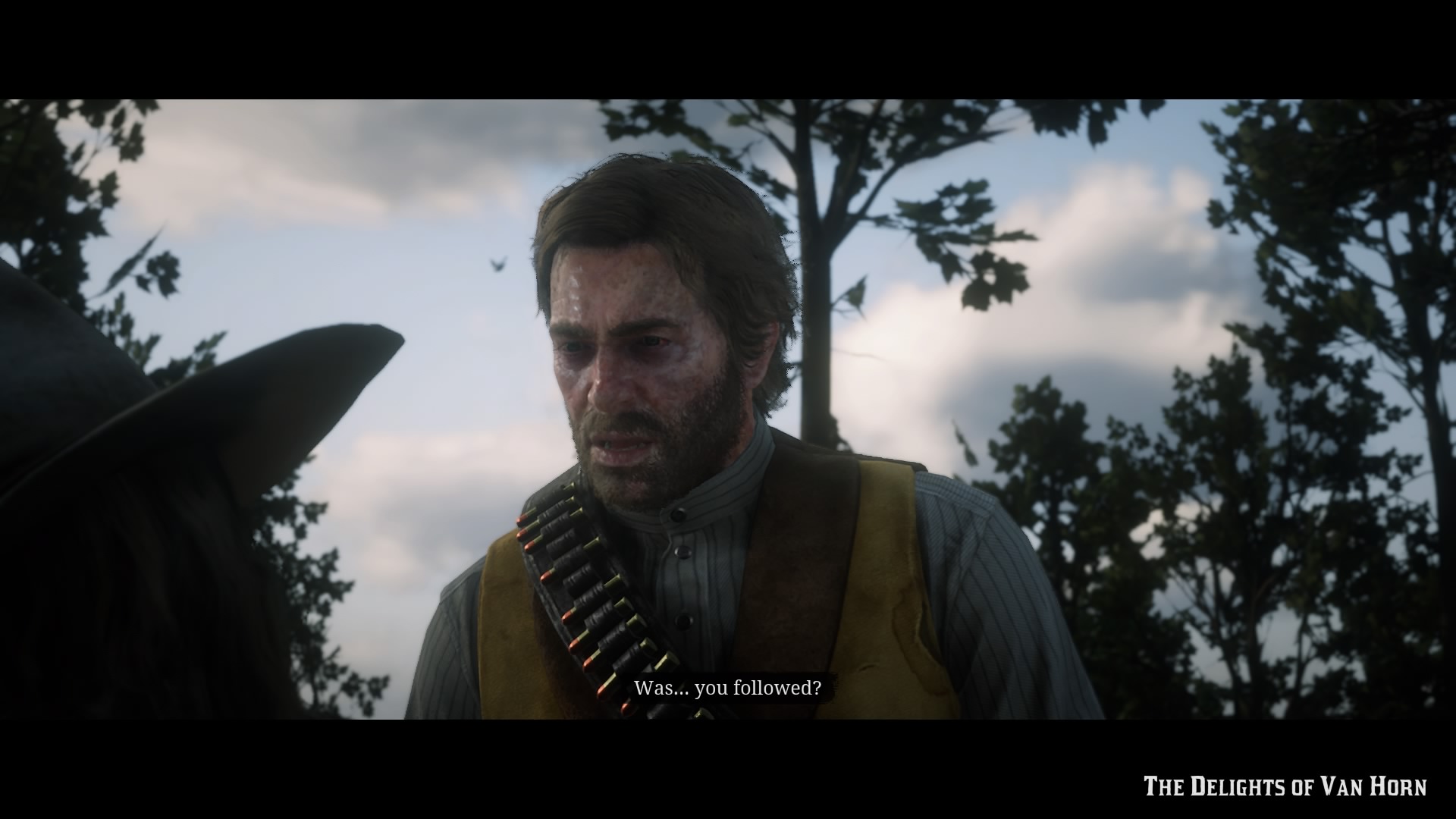 Red Dead Redemption 2: The Delights Of Van Horn (Walkthrough)