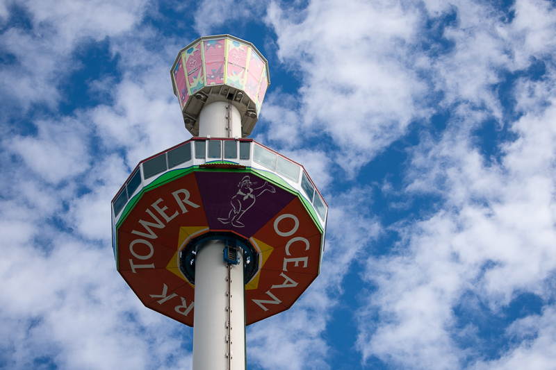 What To Do In Ocean Park: Some Attractions To Check Out Today