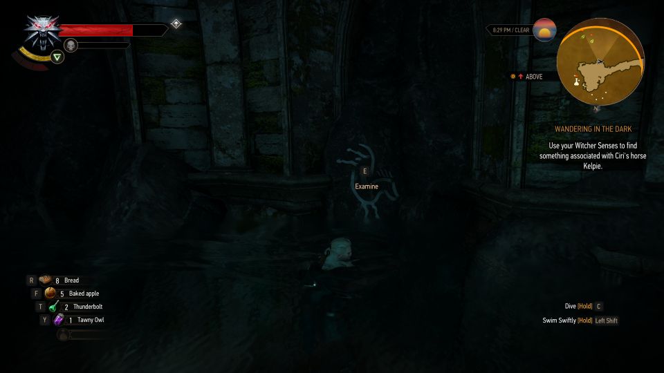Wandering In The Dark: The Witcher 3 Walkthrough