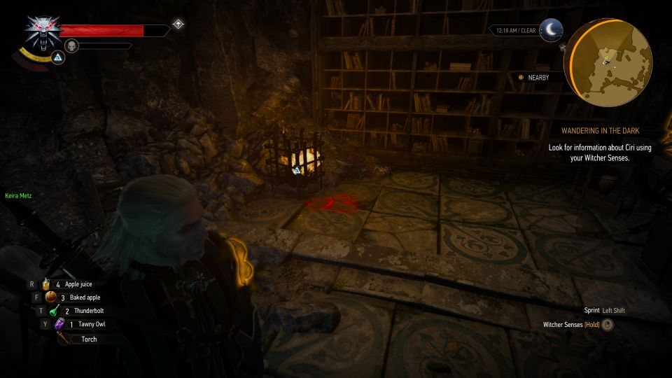 Wandering In The Dark: The Witcher 3 Walkthrough