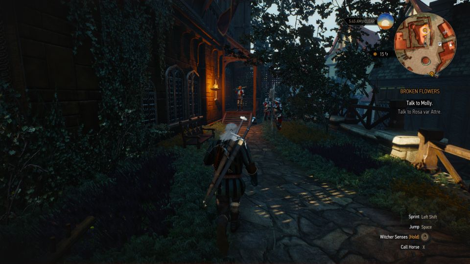 Broken Flowers: The Witcher 3 Walkthrough And Guide