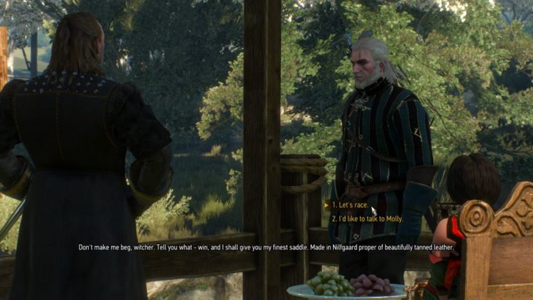 Broken Flowers: The Witcher 3 Walkthrough And Guide