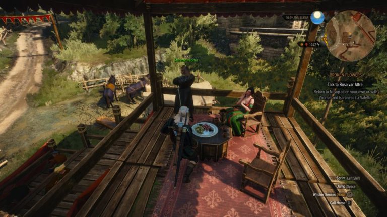 Broken Flowers: The Witcher 3 Walkthrough And Guide