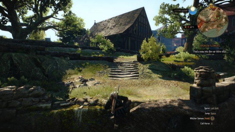 Broken Flowers: The Witcher 3 Walkthrough And Guide