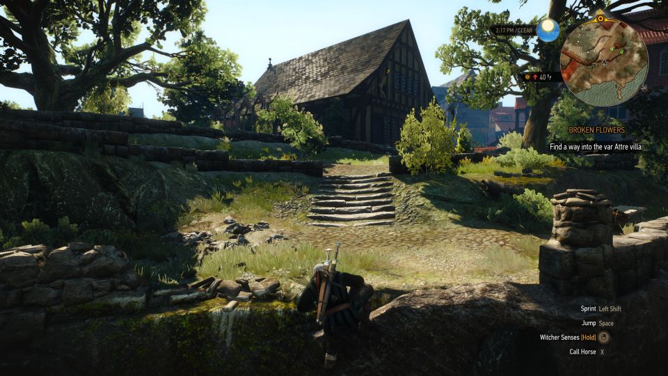 Broken Flowers: The Witcher 3 Walkthrough And Guide