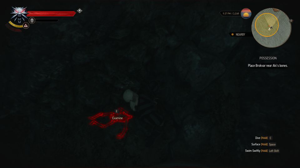 Possession: The Witcher 3 Walkthrough And Guide