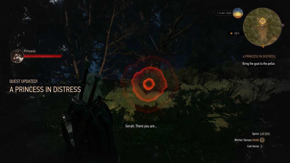 A Princess In Distress: The Witcher 3 Walkthrough And Guide