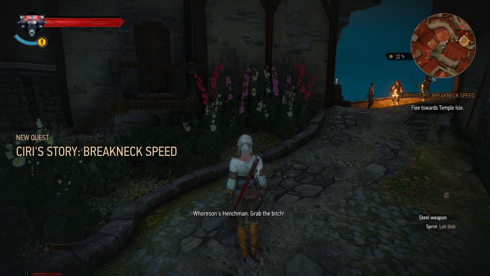 Ciris Story Breakneck Speed The Witcher 3 Walkthrough