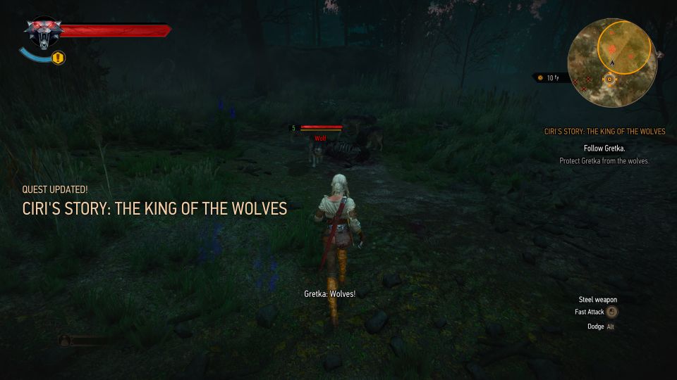 Ciri's Story: The King Of The Wolves (Witcher 3 Guide)