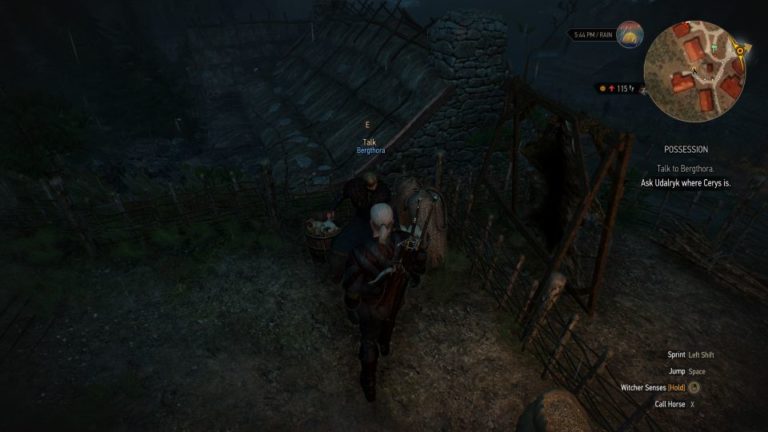 Possession: The Witcher 3 Walkthrough And Guide