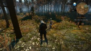 Ladies Of The Wood And The Whispering Hillock: Witcher 3 Guide