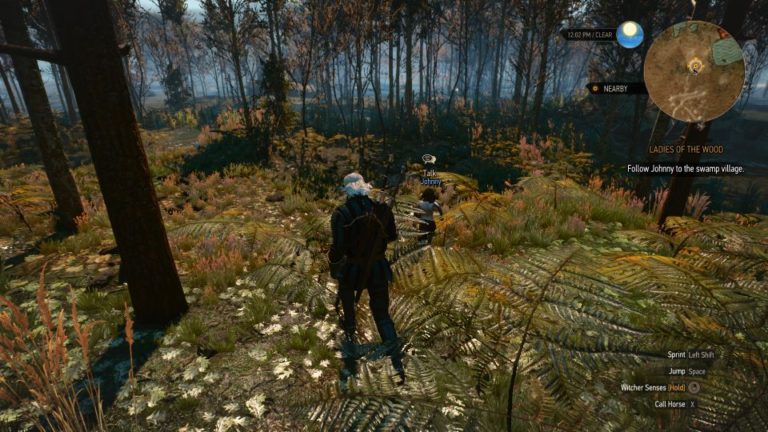 Ladies Of The Wood And The Whispering Hillock: Witcher 3 Guide