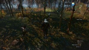 Ladies Of The Wood And The Whispering Hillock: Witcher 3 Guide