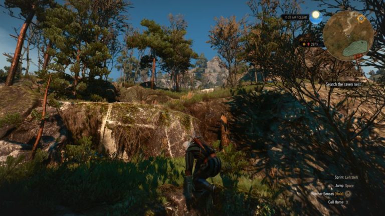 Ladies Of The Wood And The Whispering Hillock: Witcher 3 Guide