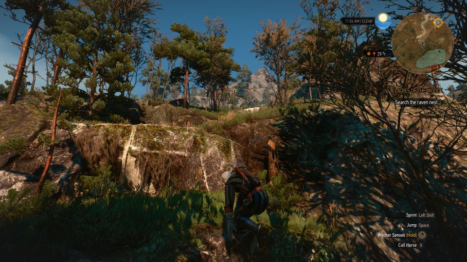 Ladies Of The Wood And The Whispering Hillock: Witcher 3 Guide
