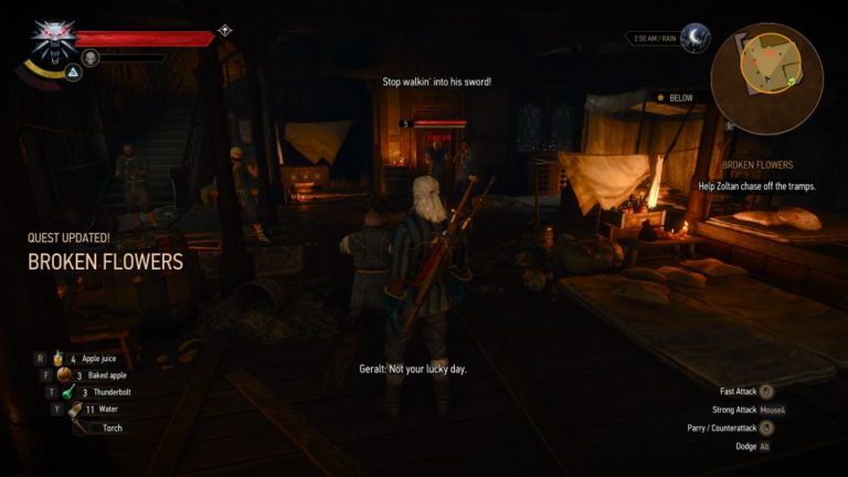 Broken Flowers: The Witcher 3 Walkthrough And Guide