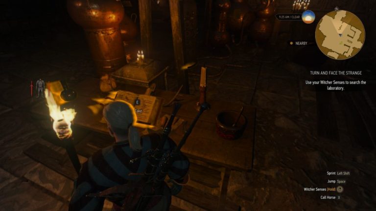 Turn And Face The Strange: The Witcher 3 Walkthrough