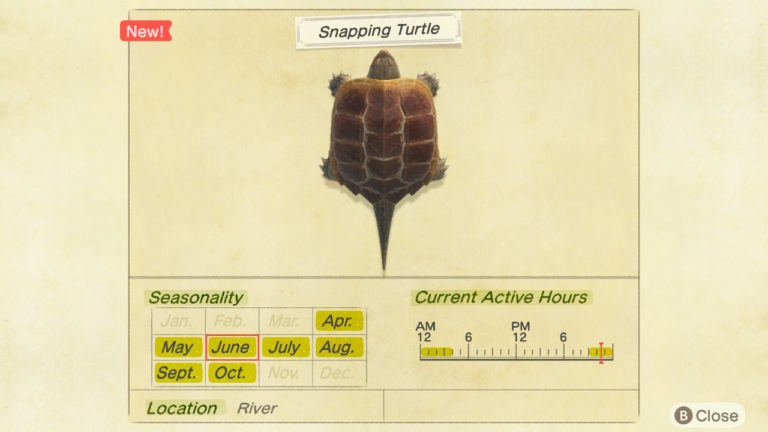 How To Find Turtles In Animal Crossing New Horizons (ACNH)