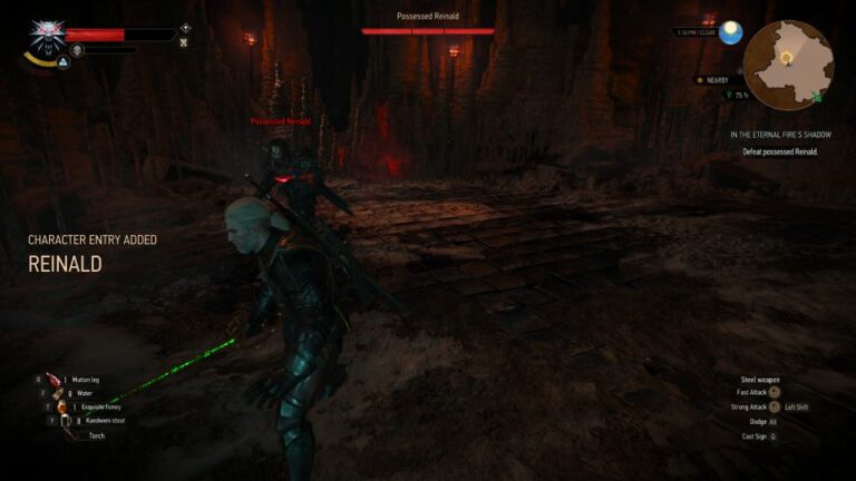 The Witcher 3: In The Eternal Fire's Shadow Walkthrough