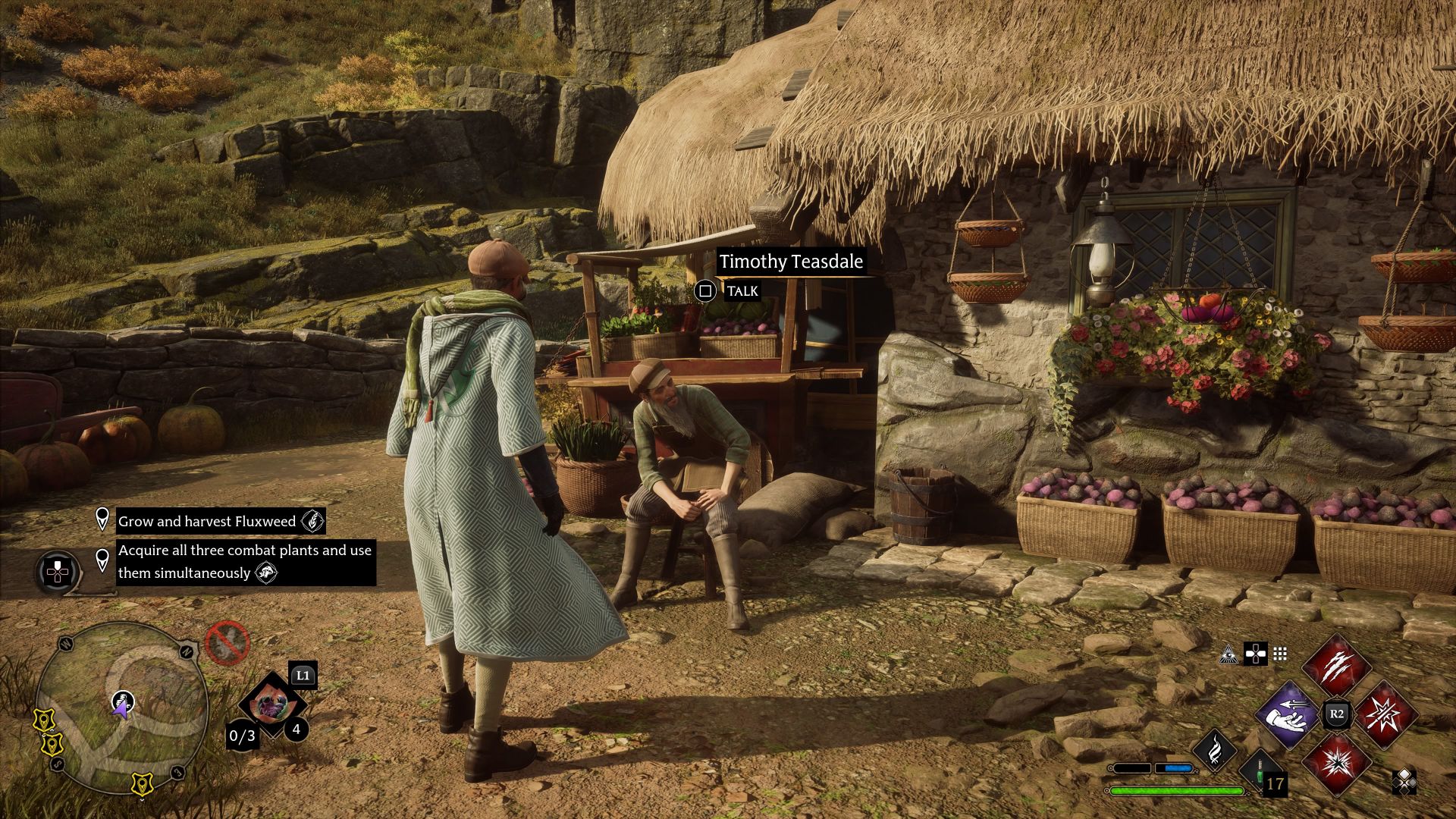 Hogwarts Legacy: Professor Garlick's Assignment 2 Walkthrough