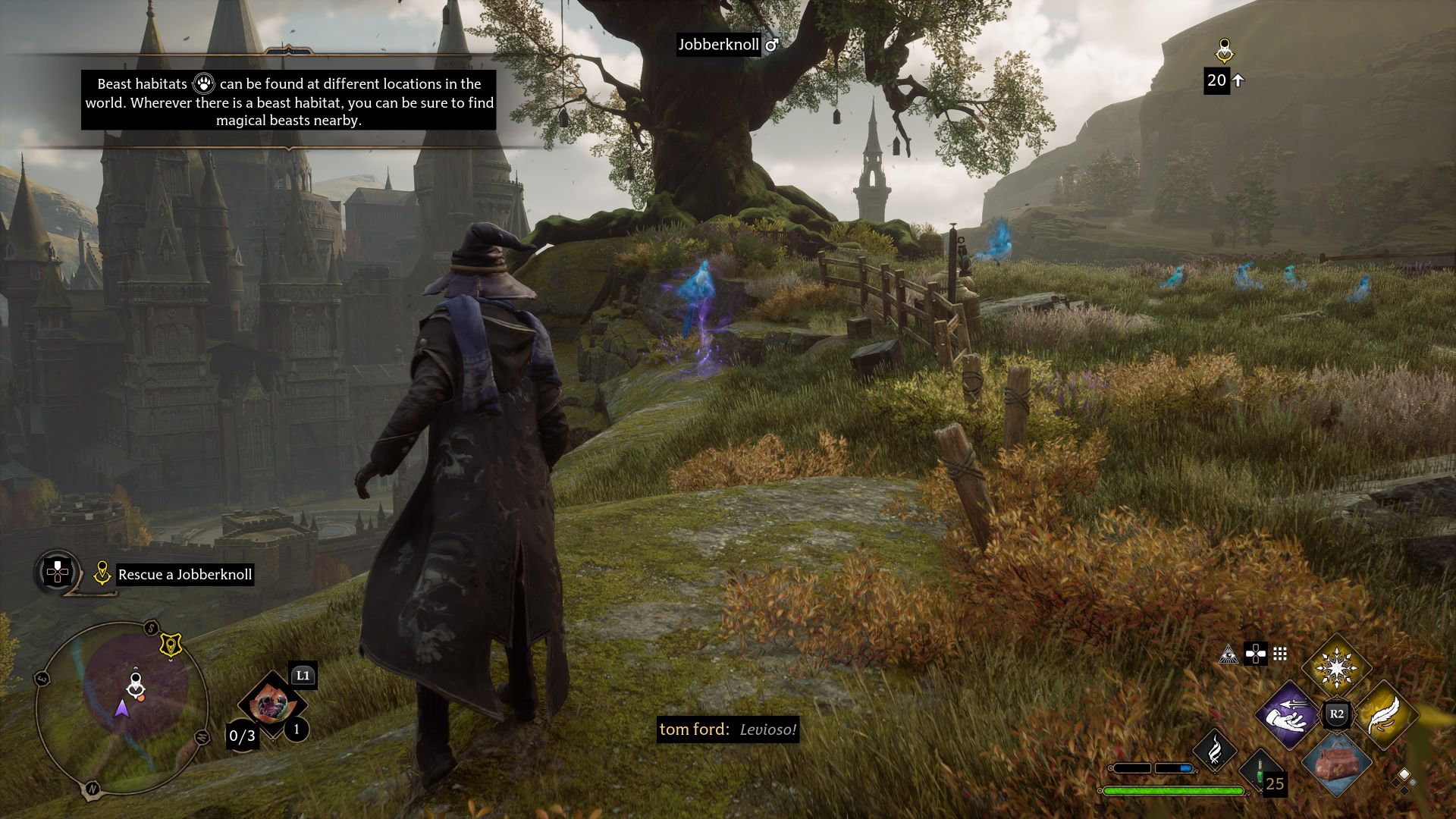 Hogwarts Legacy: The Elf, The Nab-Sack And The Loom Guide