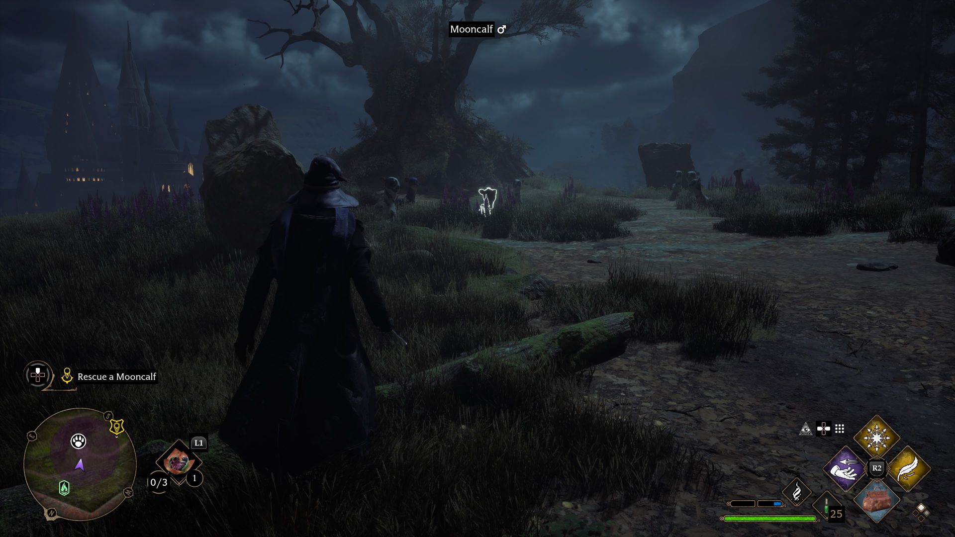 Hogwarts Legacy: The Elf, The Nab-Sack And The Loom Guide