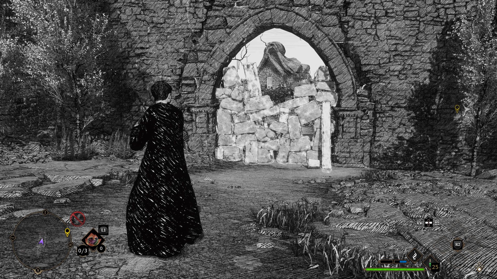 Hogwarts Legacy: Niamh Fitzgerald's Trial Walkthrough & Guide